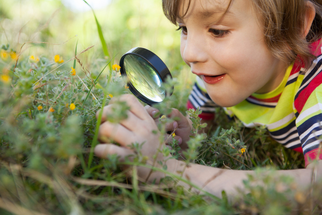 How to Develop a Beginner's Mind: 3 Tips | Nathalie Heynderickx